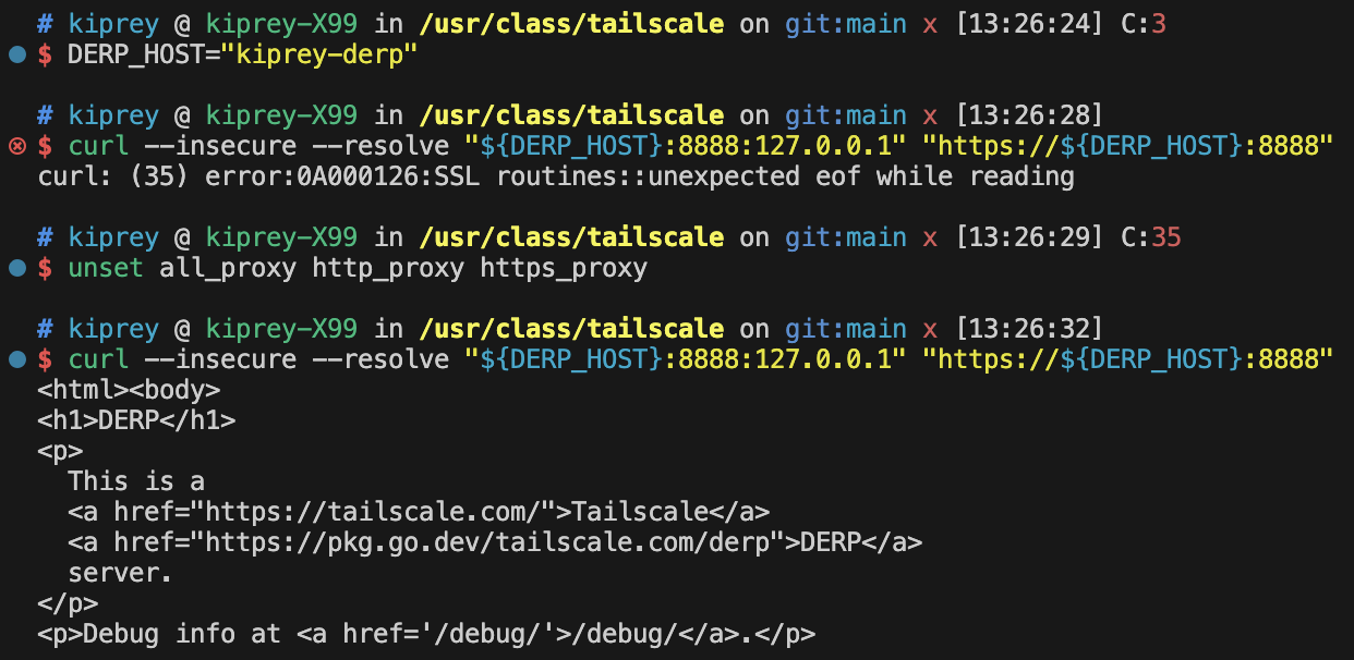浅探 Tailscale DERP 中转服务 | Kiprey's Blog